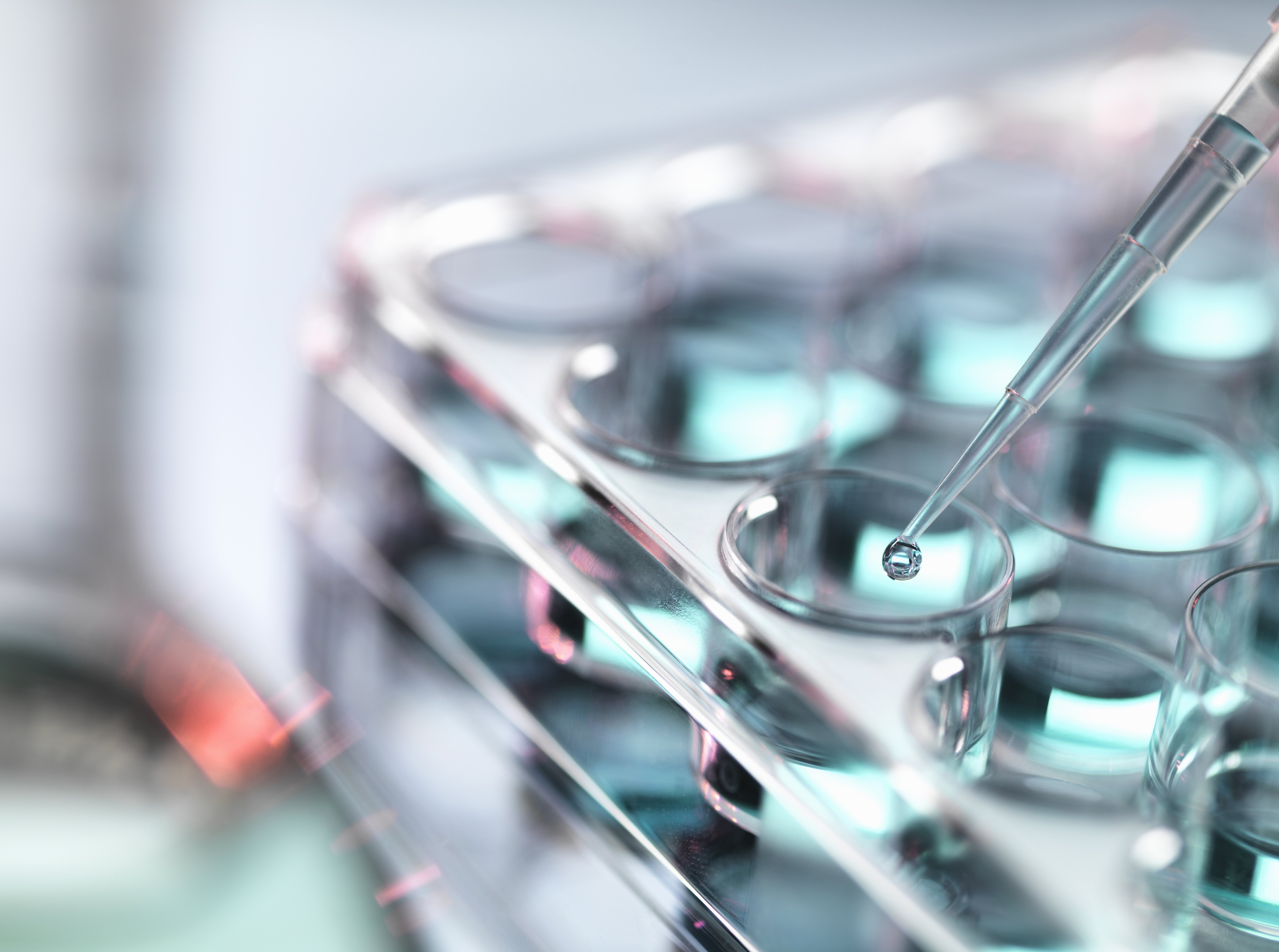 Risk Management for Medical Devices | MDV-Solve